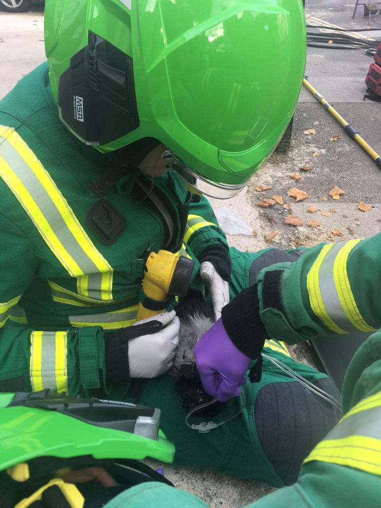 Hazardous Area Response Team (HART)