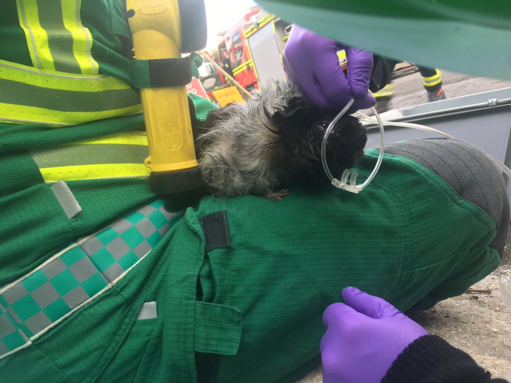 Hazardous Area Response Team (HART)