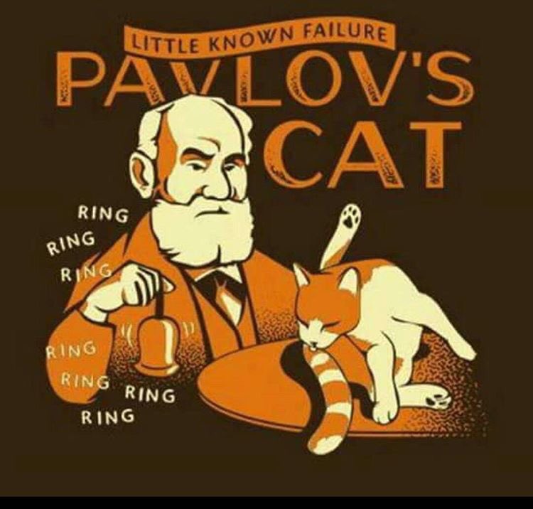 But have you heard of pavlov's cat?! via bad science jokes - scoopnest.com