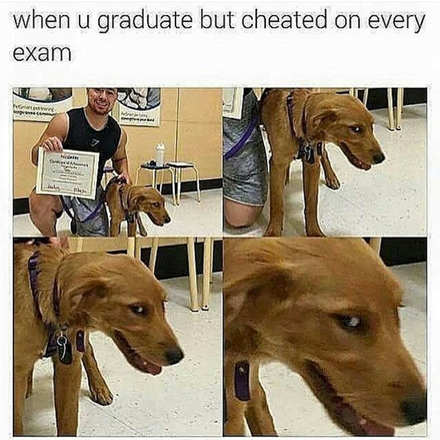 Cheating On Tests Memes