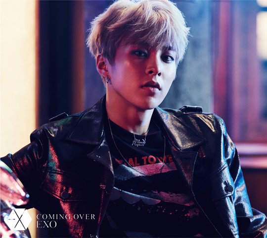 Xiumin And Lay