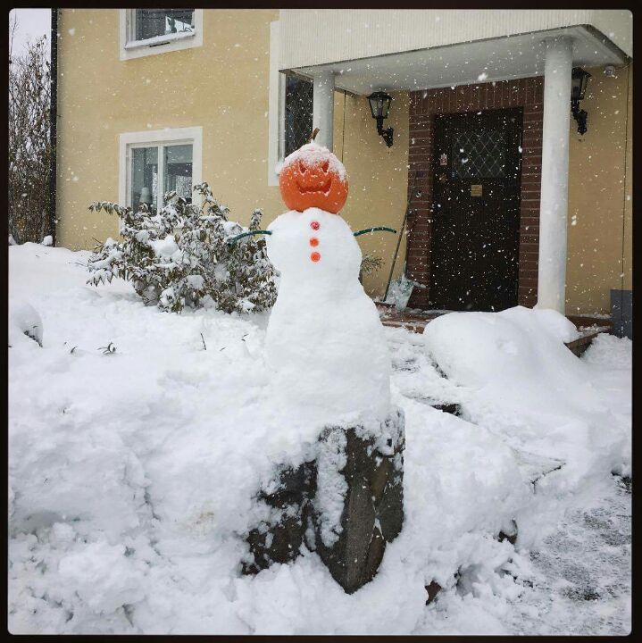 Minecraft Snow Golem Real Life