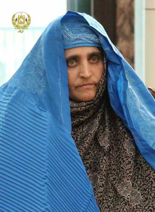 Mujib Mashal on Twitter: "Sharbat Gula, the green-eyed National Geographic cover girl & face of ...