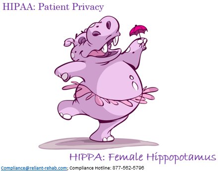 Hipaa Hippo