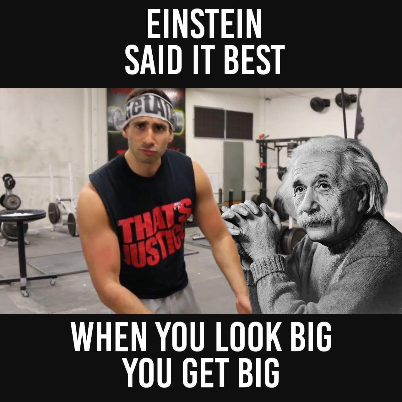 Broscience Quotes Best Of Dom Mazzetti Quotes YouTube