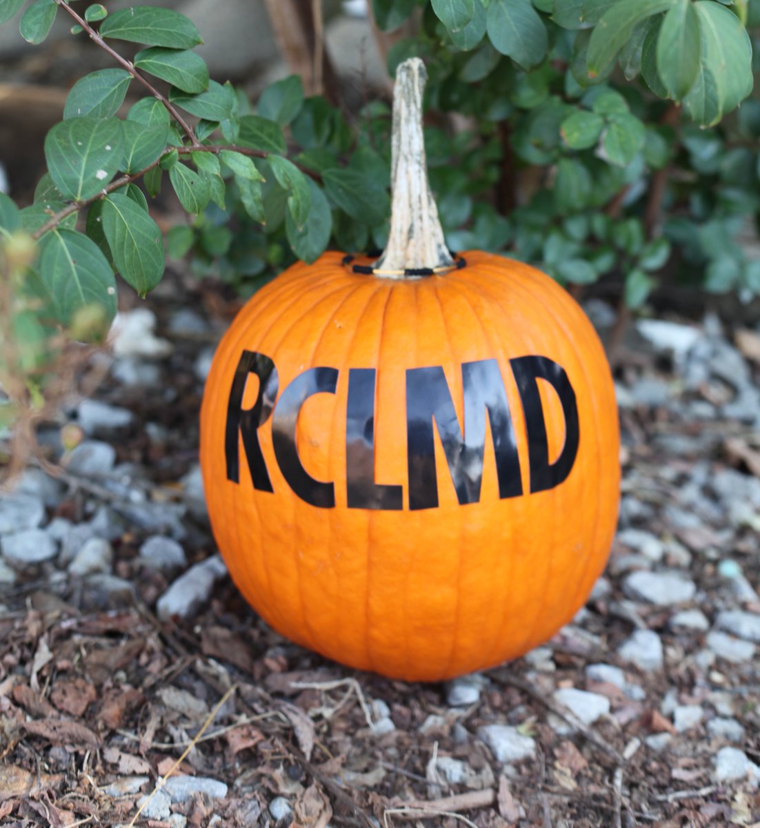 Robert Upton (@RobertL_Upton) | Twitter