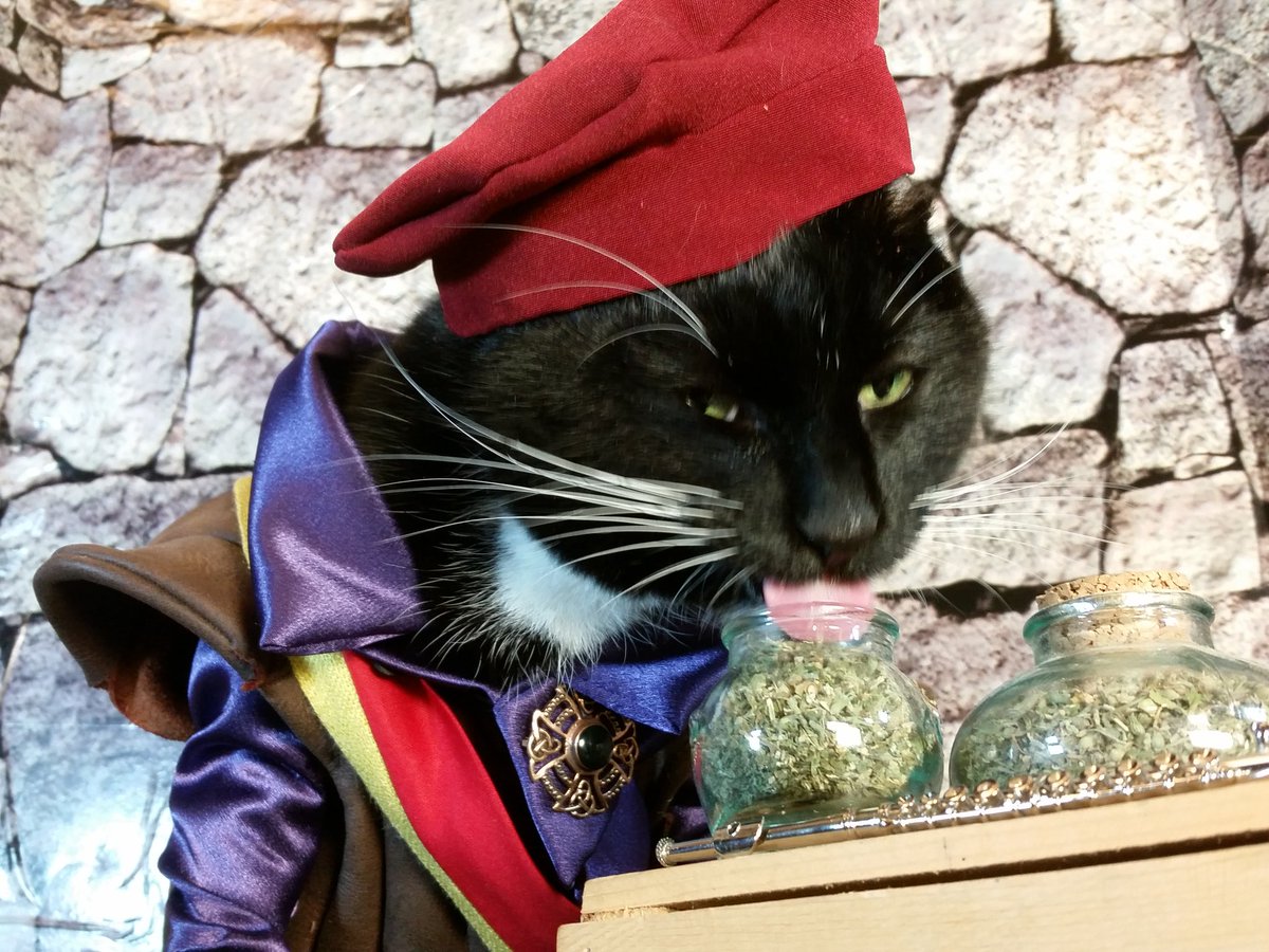 [No Spoilers] Cat Cosplay: Scanlan Shorthalt edition : r/criticalrole