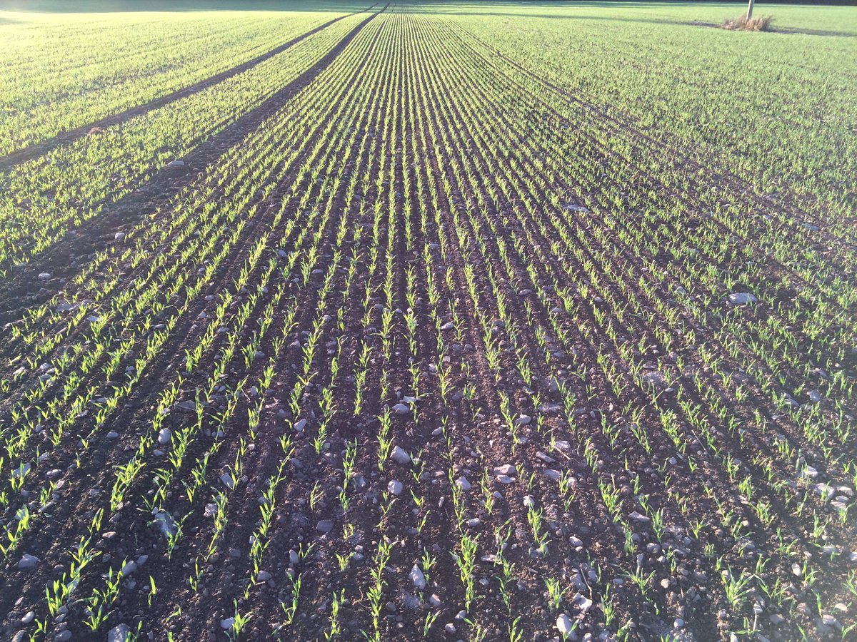 Teagasc | Agriculture and Food Development Authority