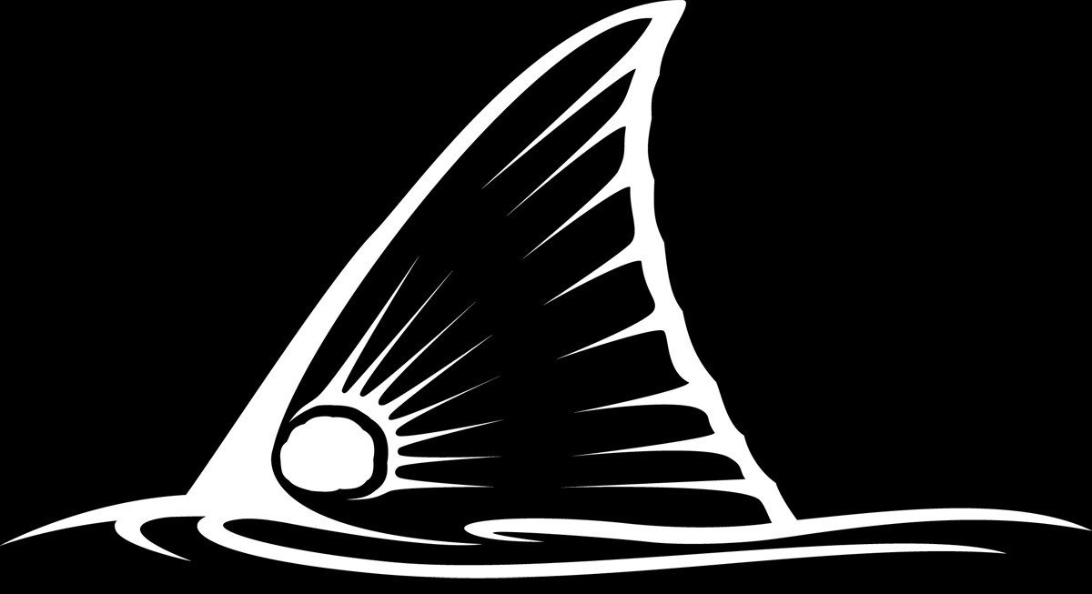 Redfish Tailing Background