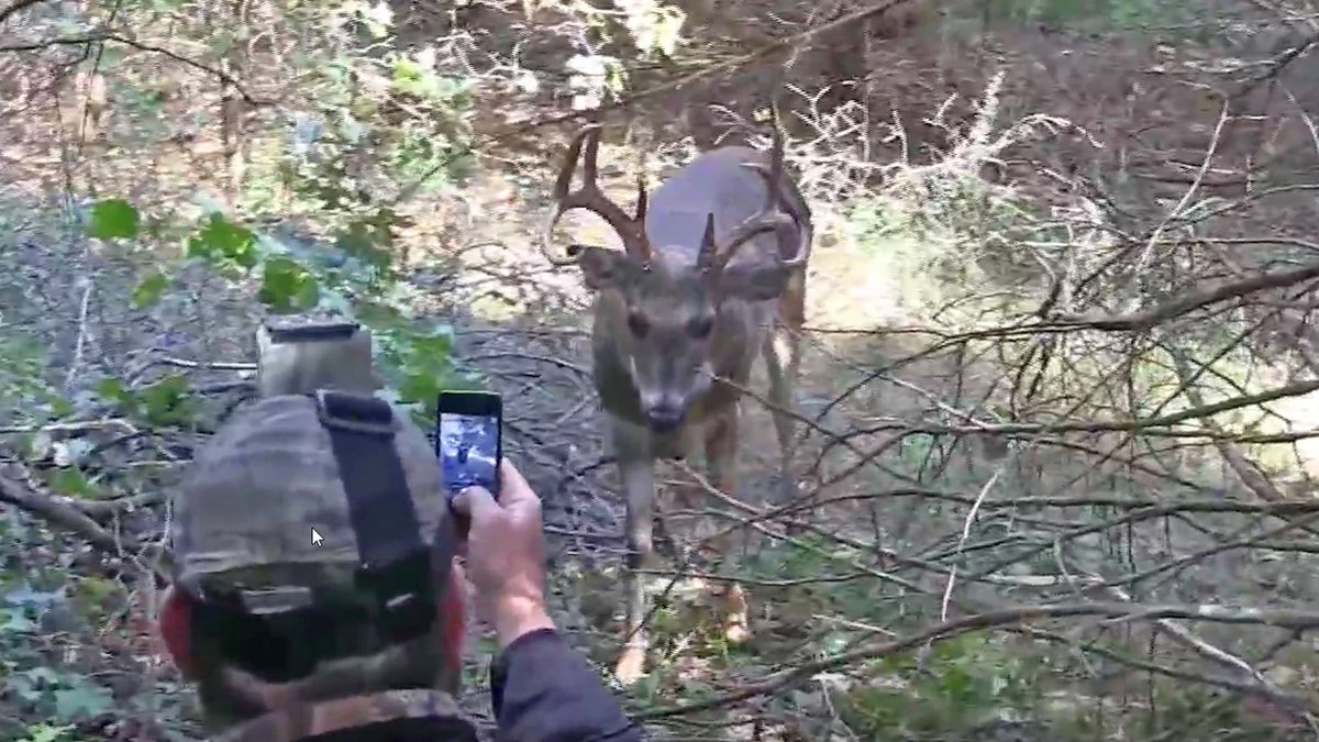 BIG Bucks Fall to the Bow at Camp Ripley Hunt in Minnesota!