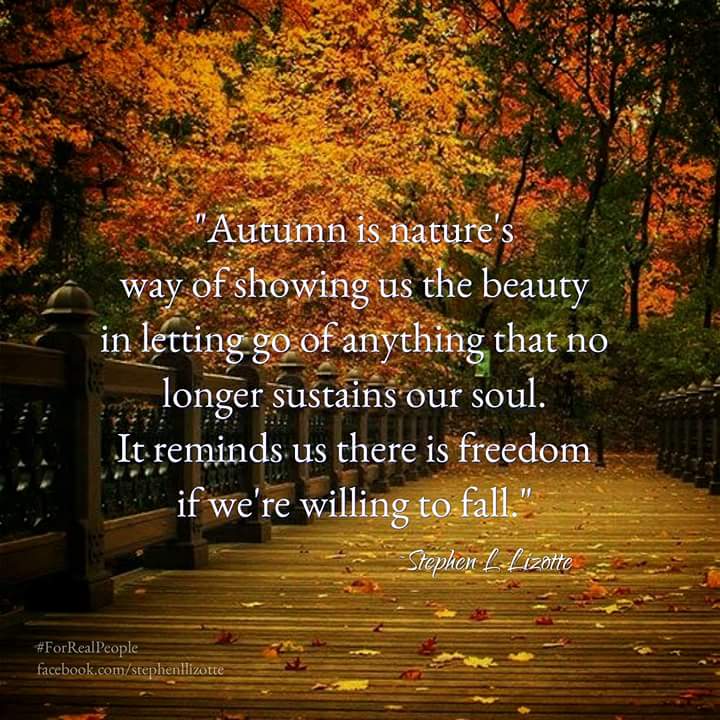 Stephen L Lizotte on Twitter: "#ForRealPeople #inspiration #motivation ...