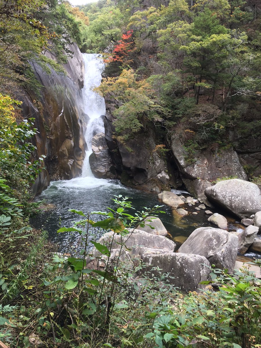 伊藤 (@tasuke_itou) | Twitter