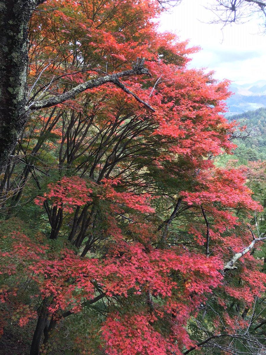 伊藤 (@tasuke_itou) | Twitter