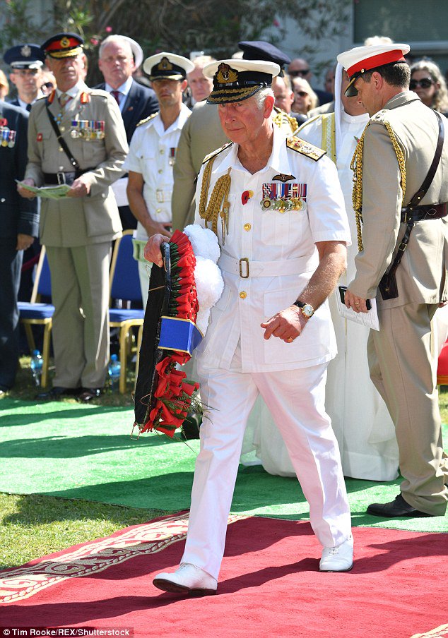 Prince charles steps out in full military uniform to greet uk veterans ...