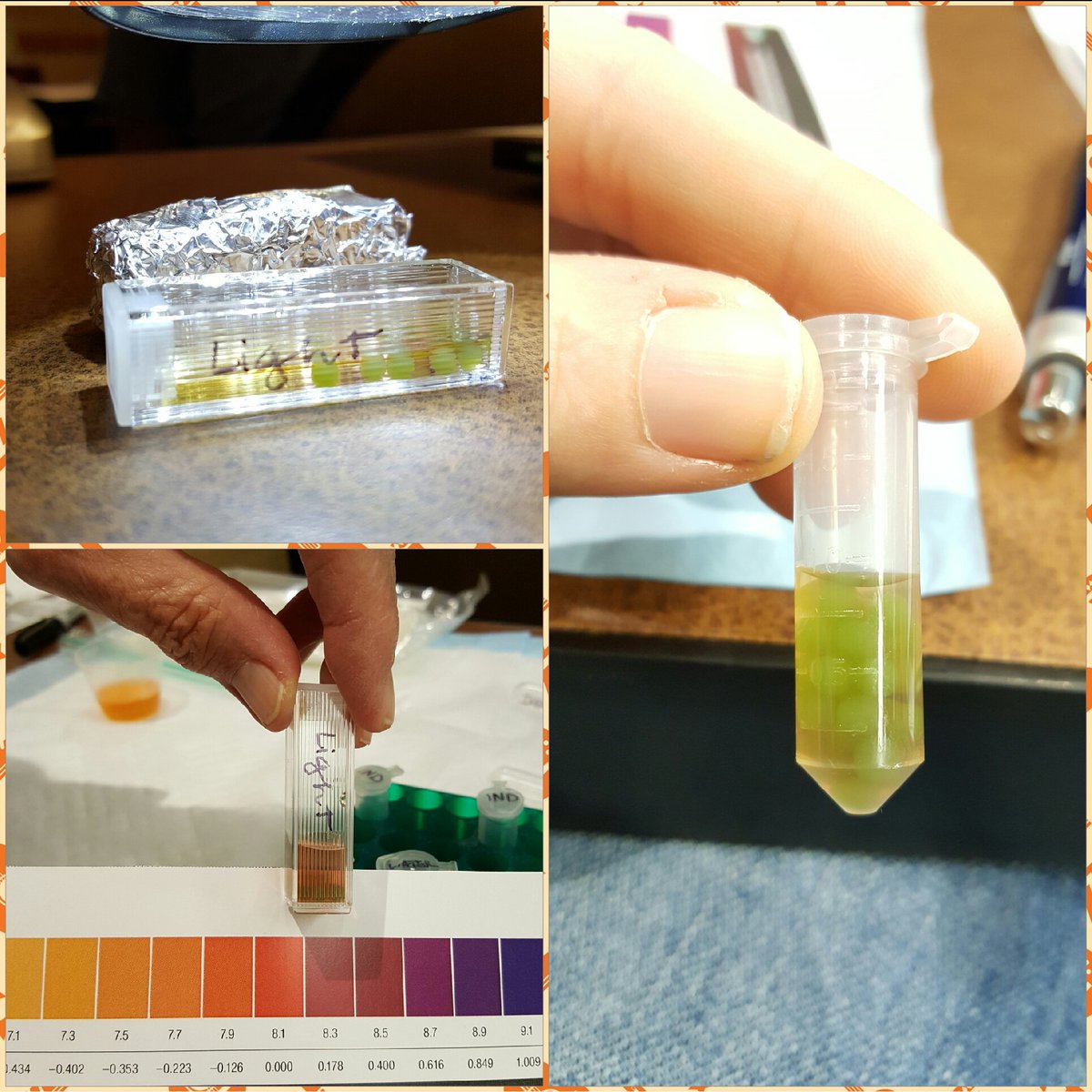 Uncategorized – AP Biology