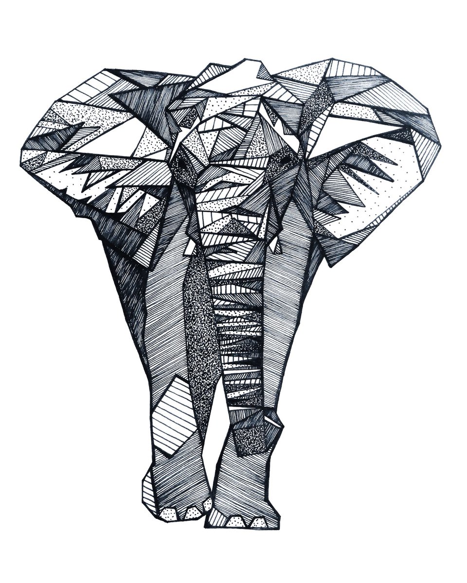 Elephant Head Drawing Tumblr