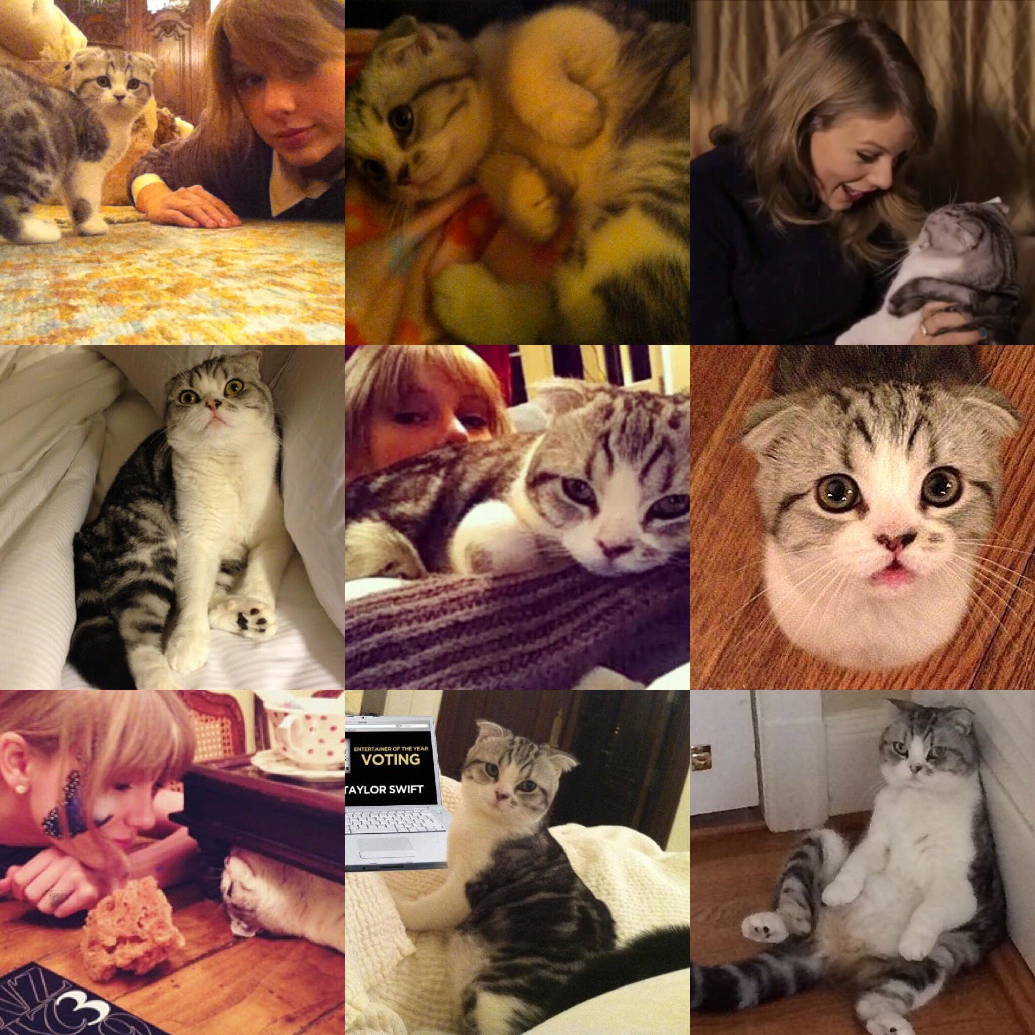 Meredith Swift Posture