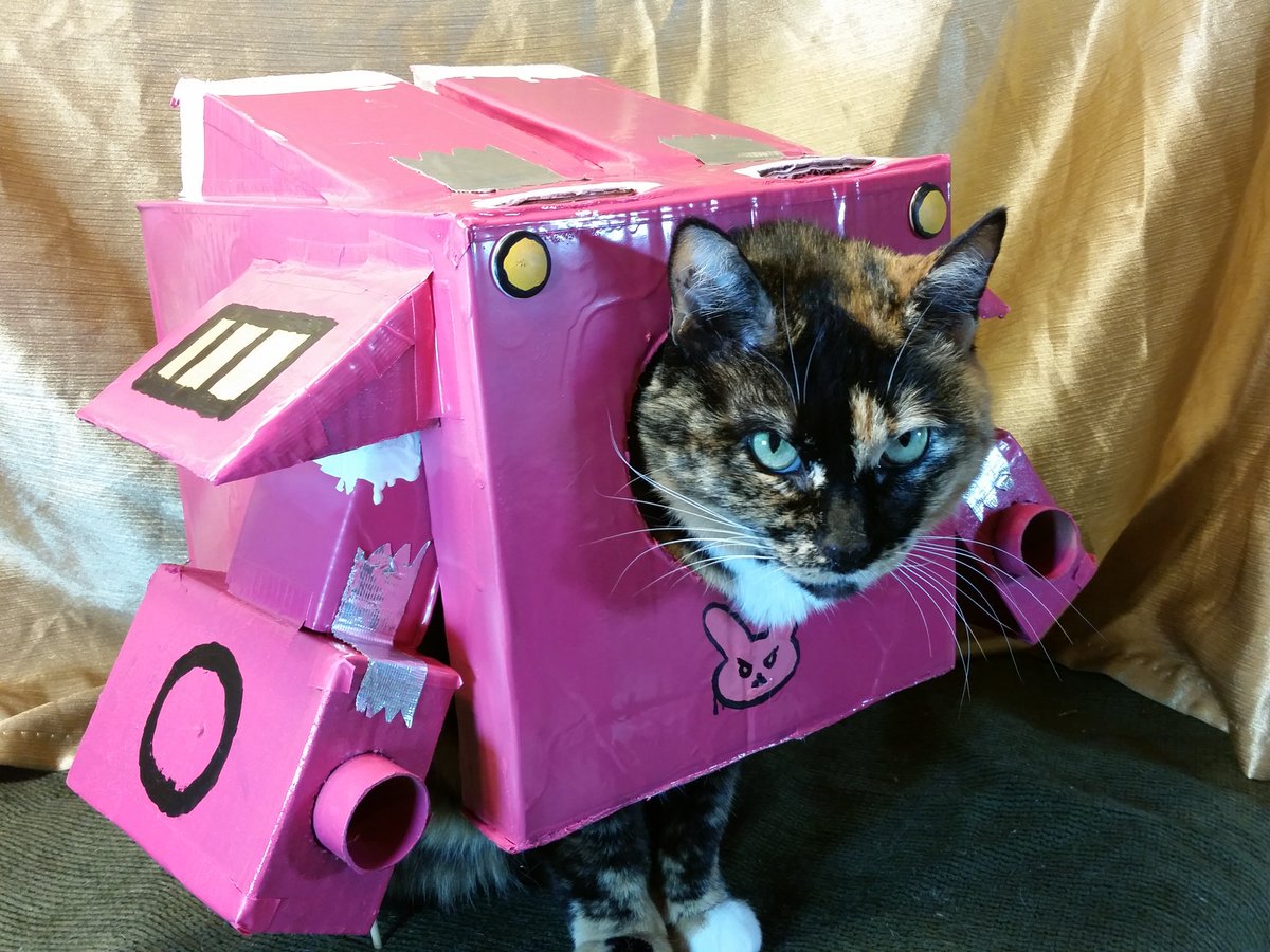 D.Va Black Cat skin whiskers - General Discussion - Overwatch Forums