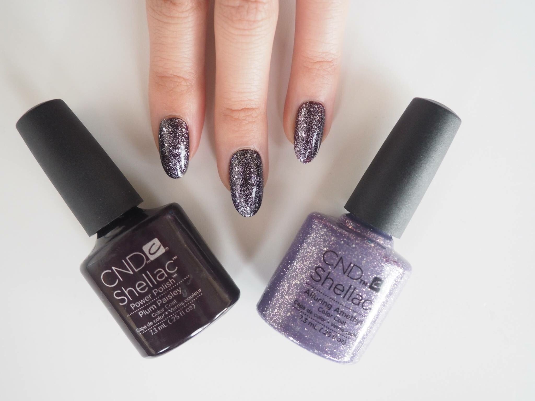 Shellac Plum Paisley