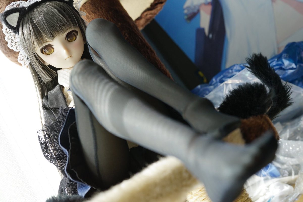 Null@うちの子かわいい(@NullxDL) - Twilog (ツイログ)