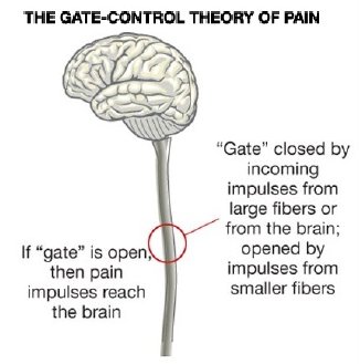 Gate Control Theory