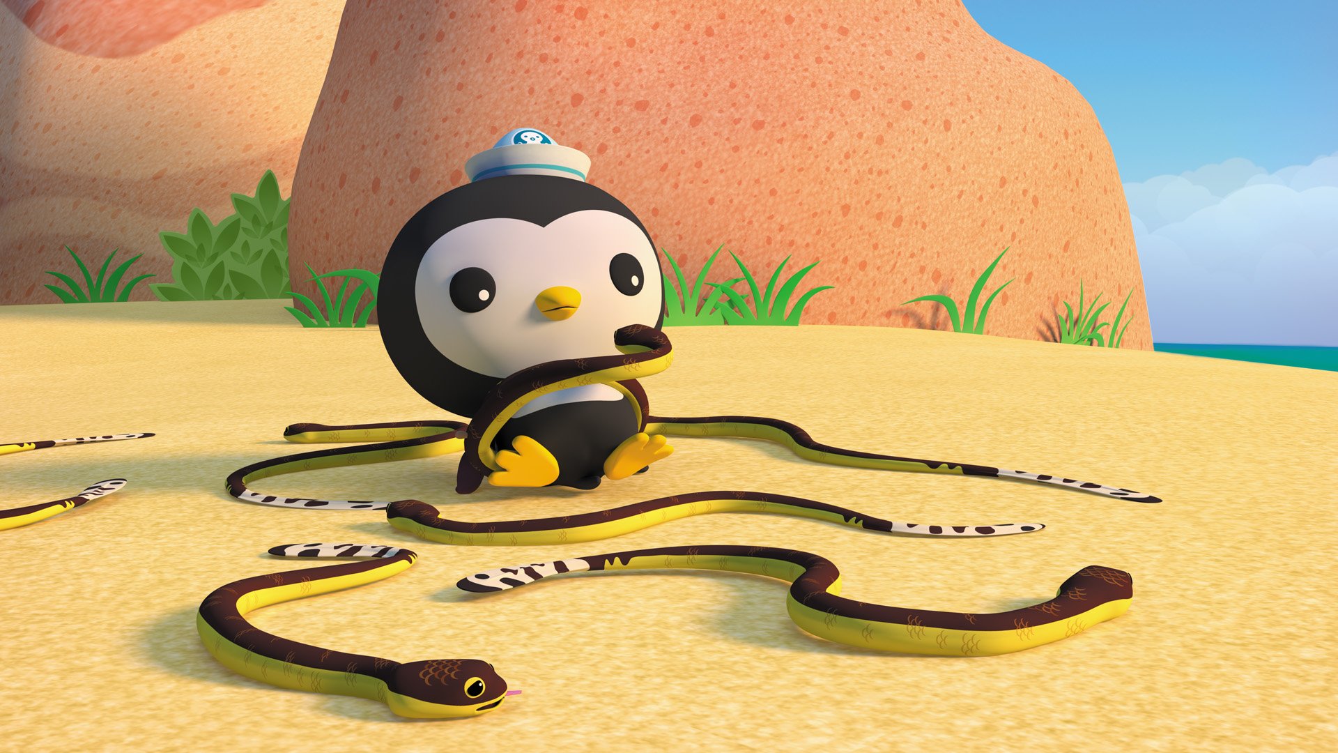 Yellow Bellied Sea Snake