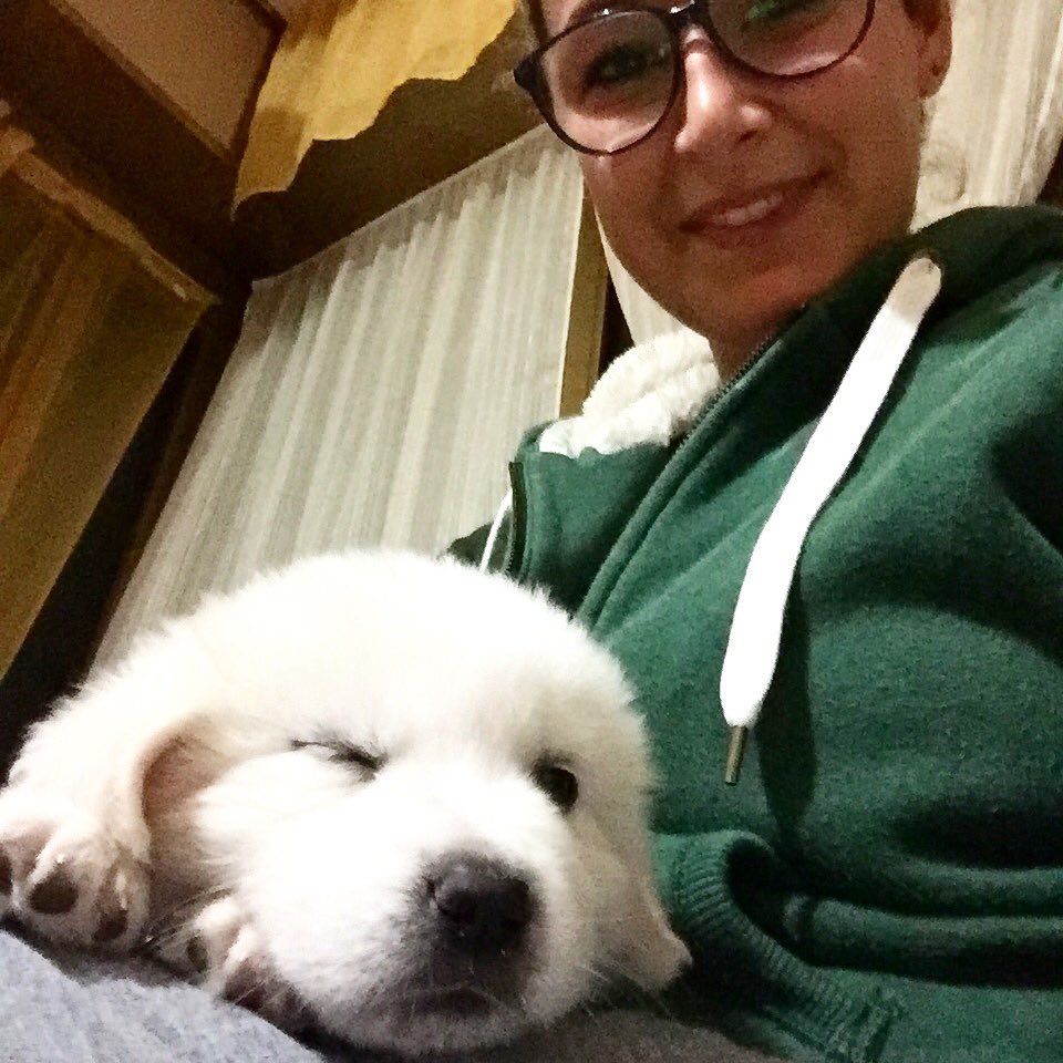 Deborah Testa's Instagram, Twitter & Facebook on IDCrawl