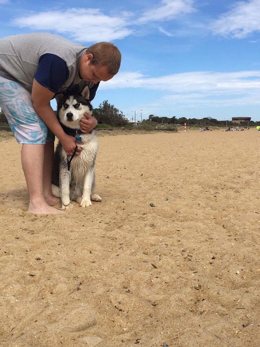 Aaron Dickson (@aaronjamesd2605) | Twitter