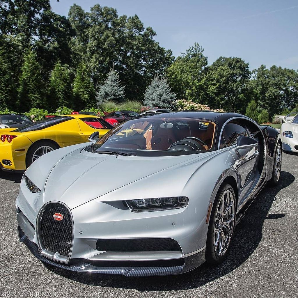 Bugatti Silver