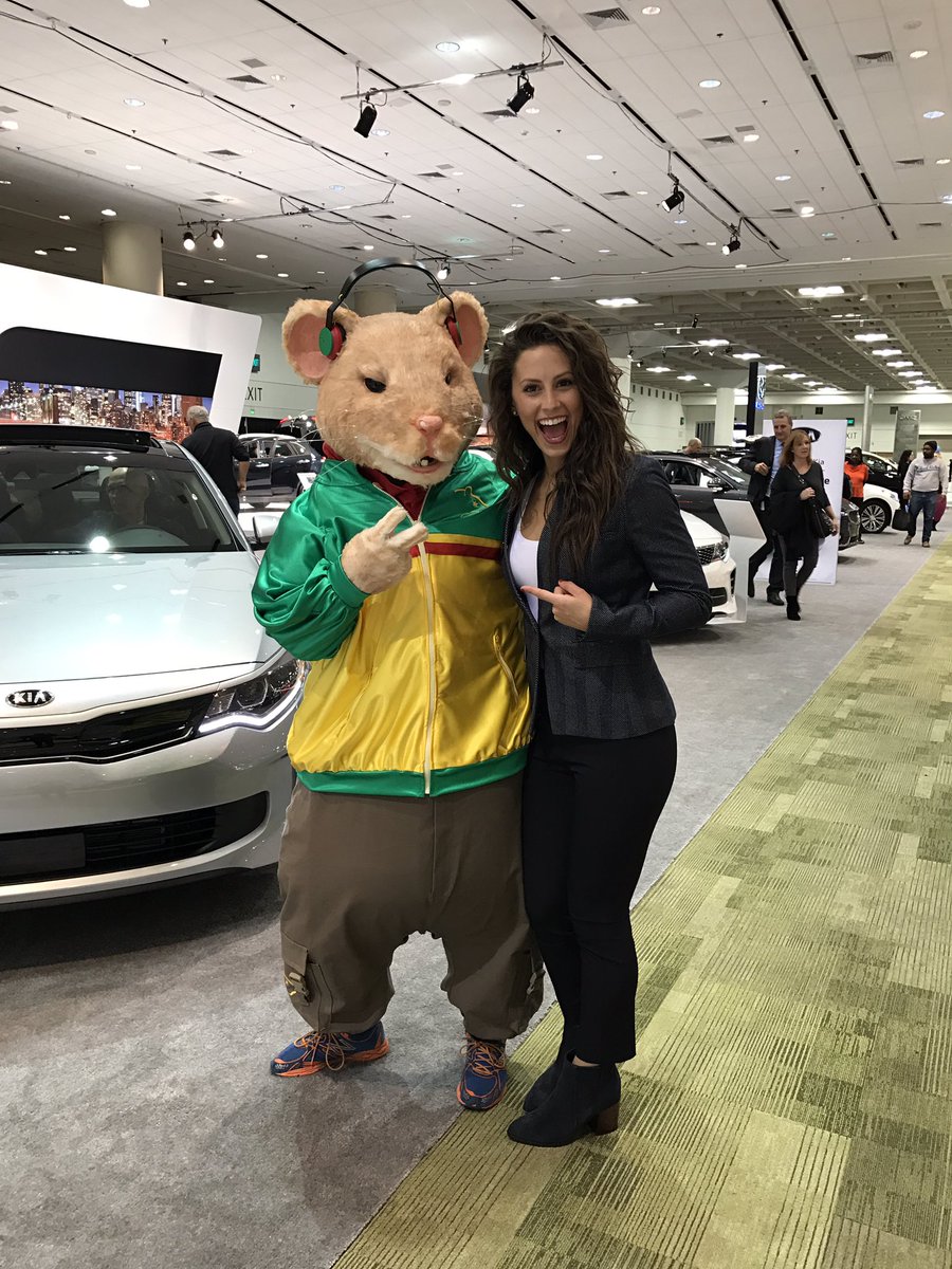 Kia Soul Hamster Toy