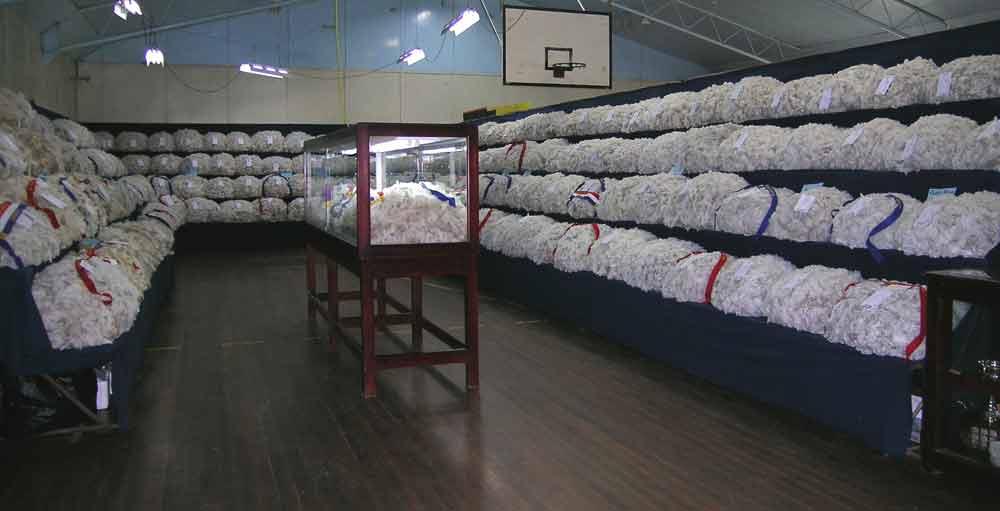 Woolen Textile Industry