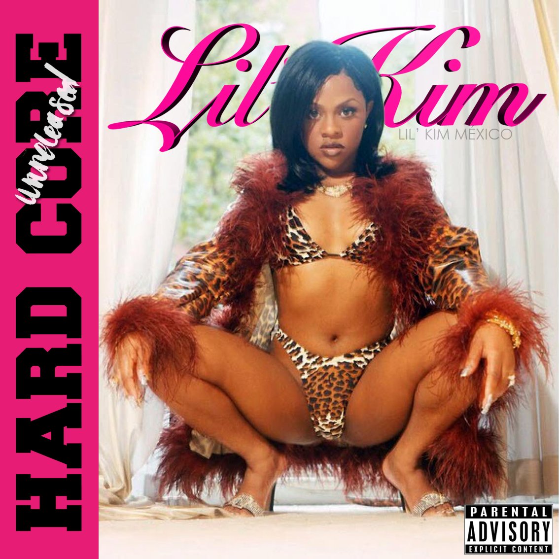 Hard Core Lil Kim Album