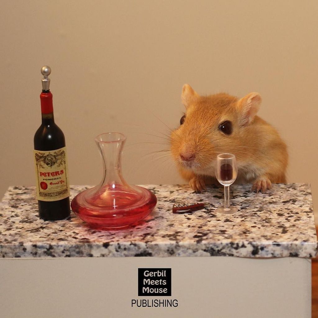 Mouse Drinking Wine