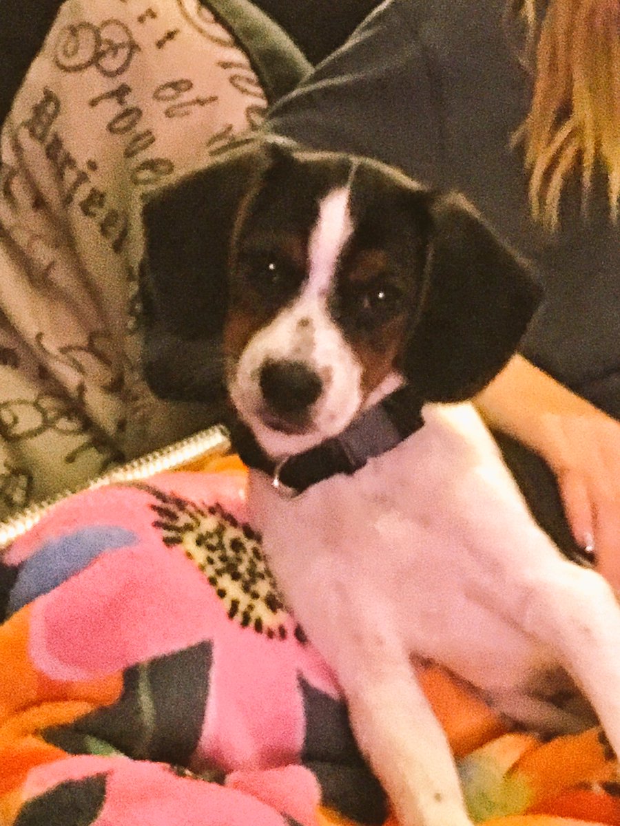 Dan Rixon (@DanRixon) | Twitter