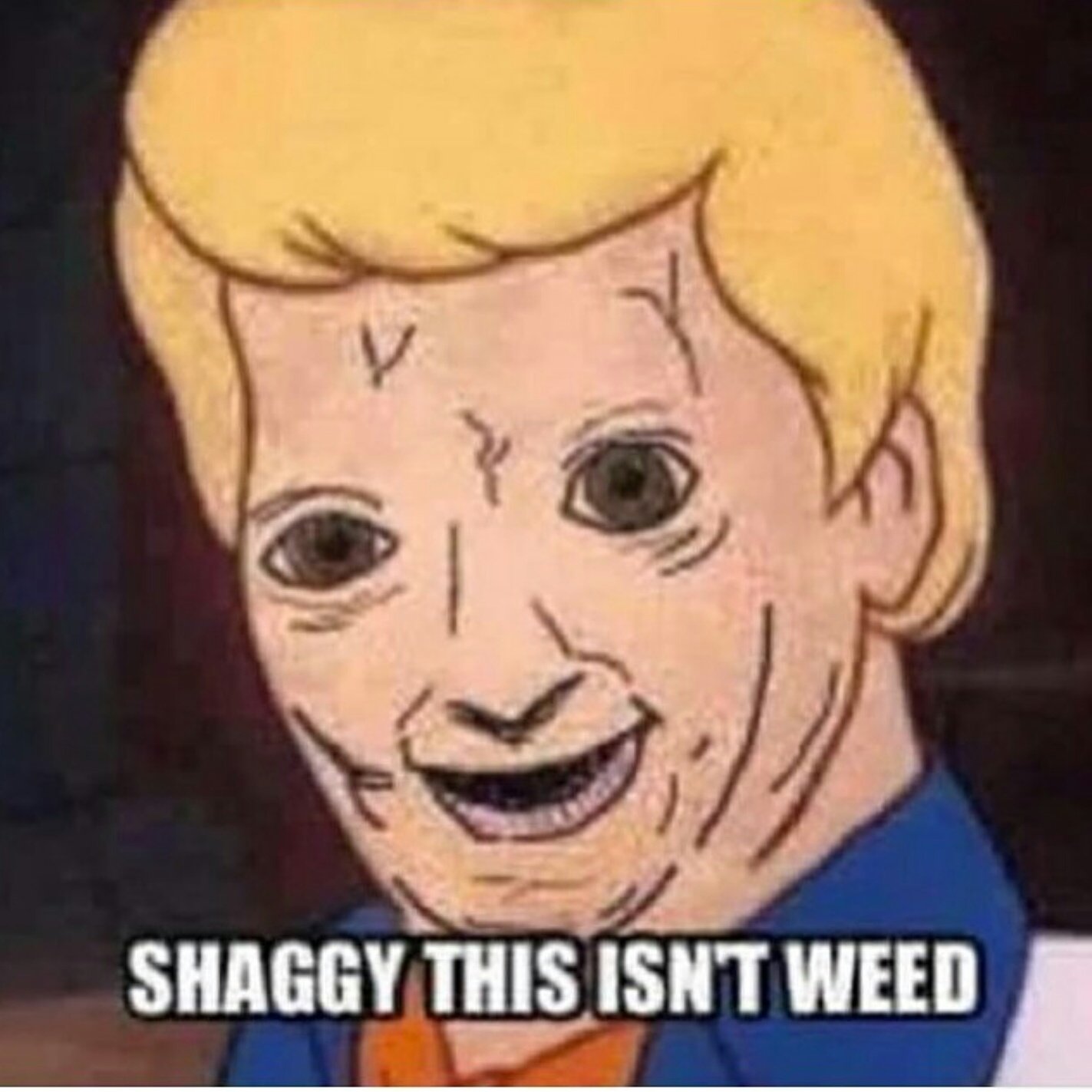 Shaggy Scooby Doo Stoner