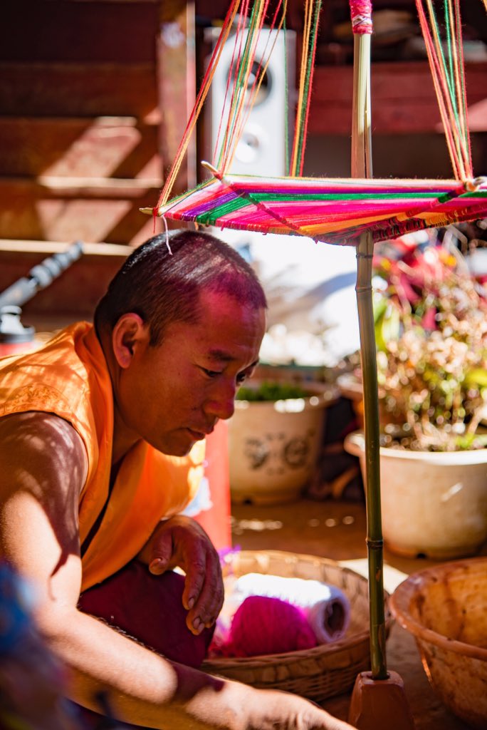 Max Zhang (@TFC_MaxZhang) | Twitter