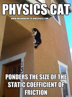 Physics Cat Meme