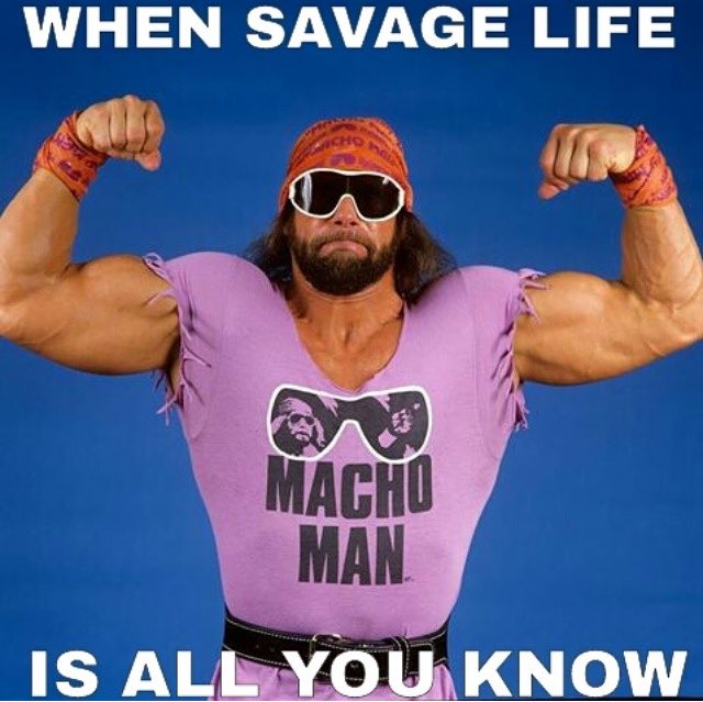 Randy Savage's Birthday Celebration | HappyBday.to
