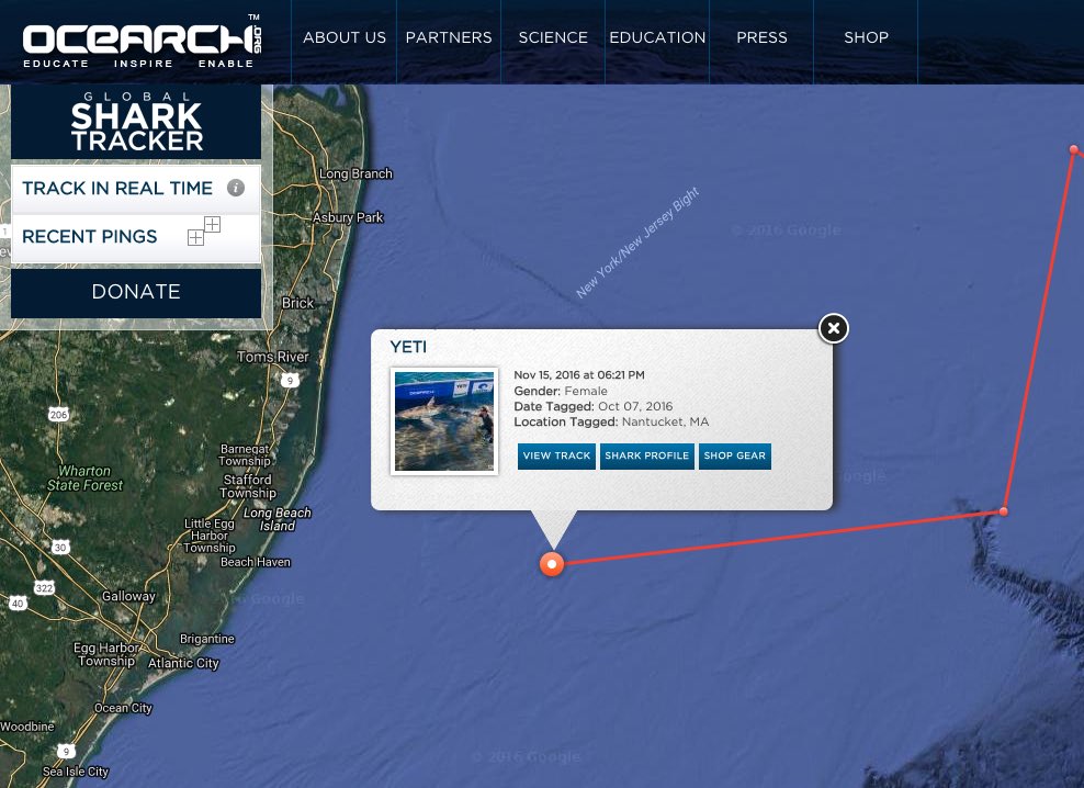 Jitney Guy (@JitneyGuy) | Twitter