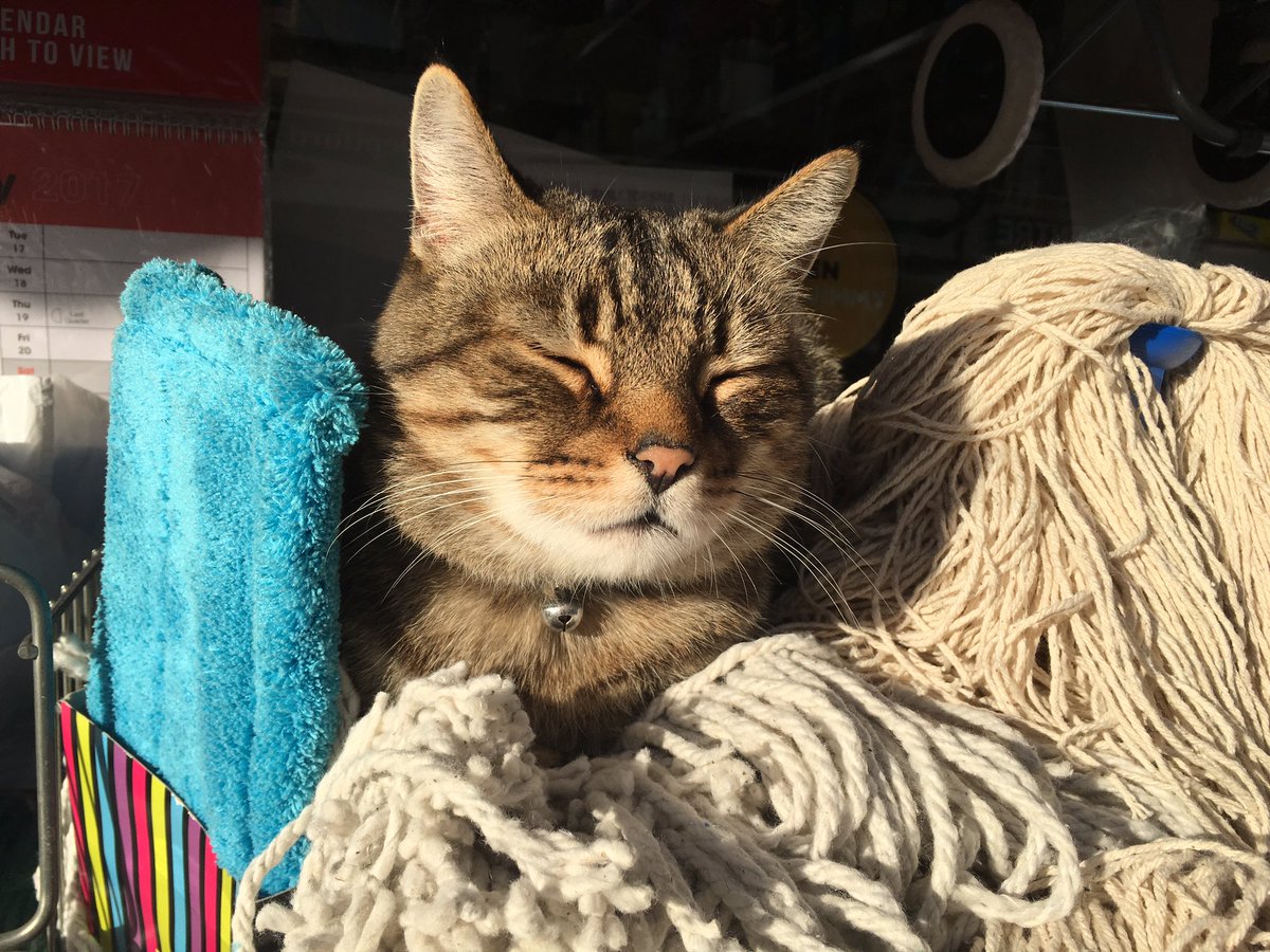 Fundamentals Fundamentals Twitter