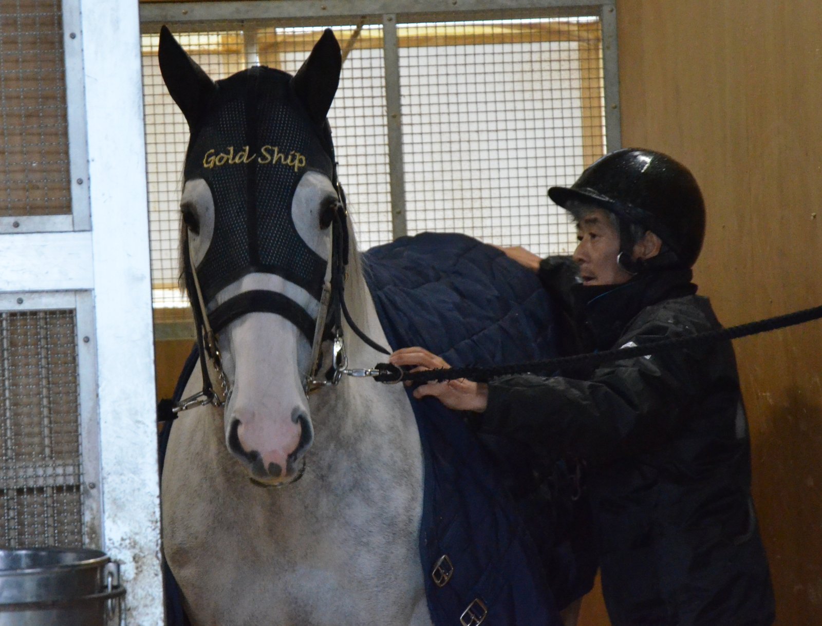 パカパカ工房💉ワクチン3回接種済 On Twitter 週刊gallop臨時増刊「ゴールドシップ」絶賛発売中!色々なお宝写真満載ですが