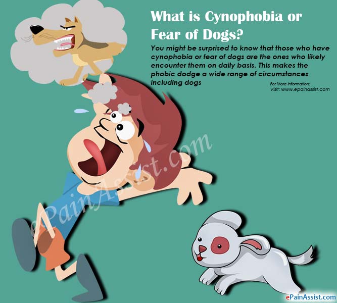 Cynophobia