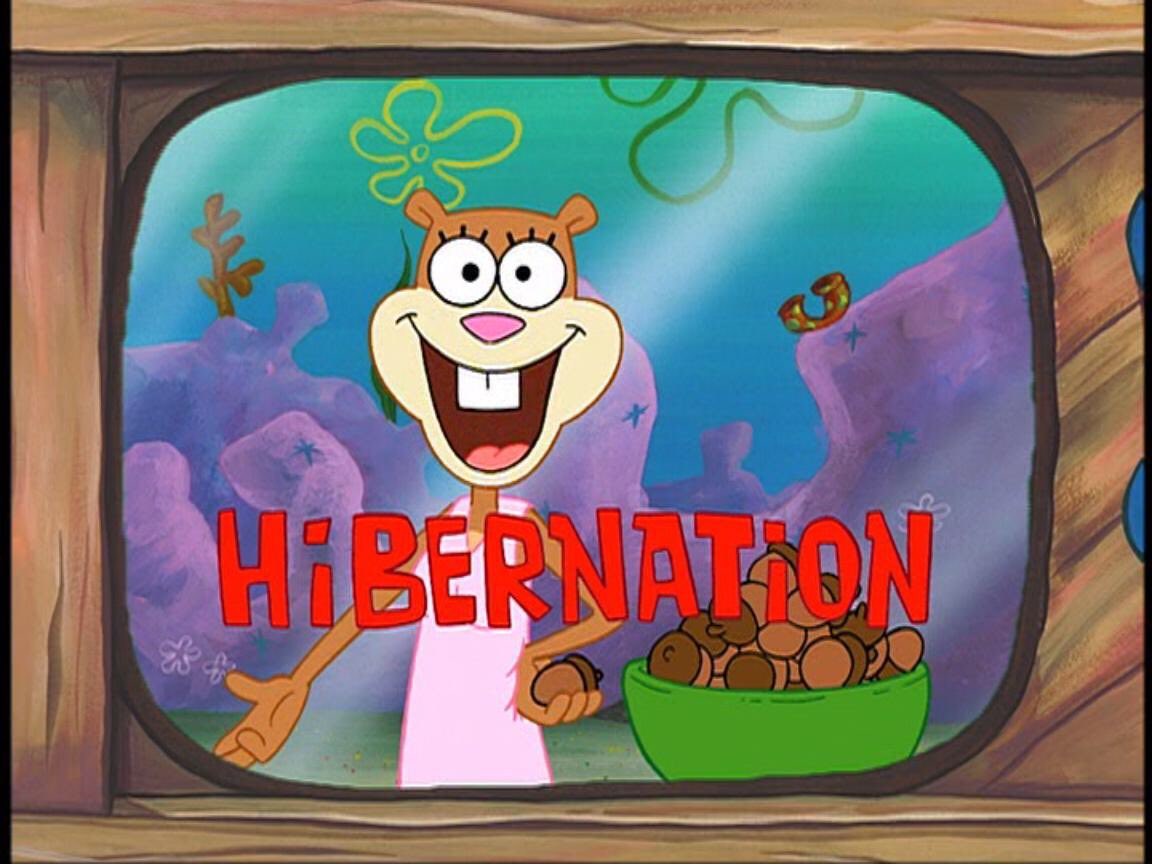 Spongebob And Sandy Get Married