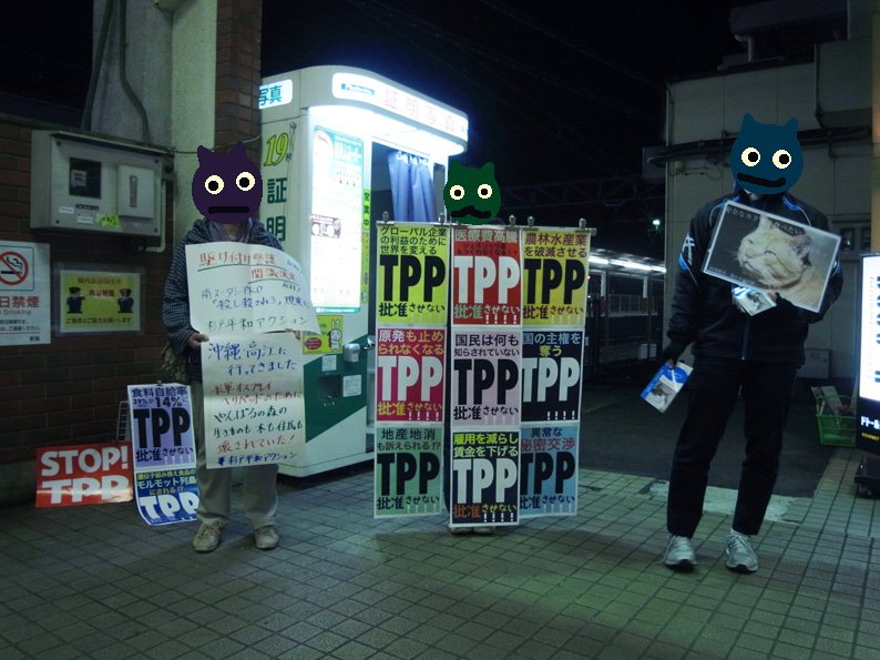 【広めてね♥】参加しよう！始めよう！TPP阻止全国行動 (5ページ目) - Togetter