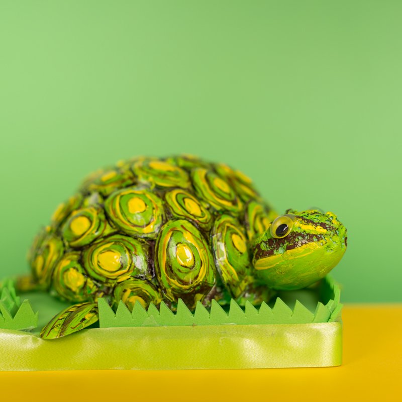 Scienseed on Twitter: "Aren't turtles adorable? However, the living one can transmit salmonella ...