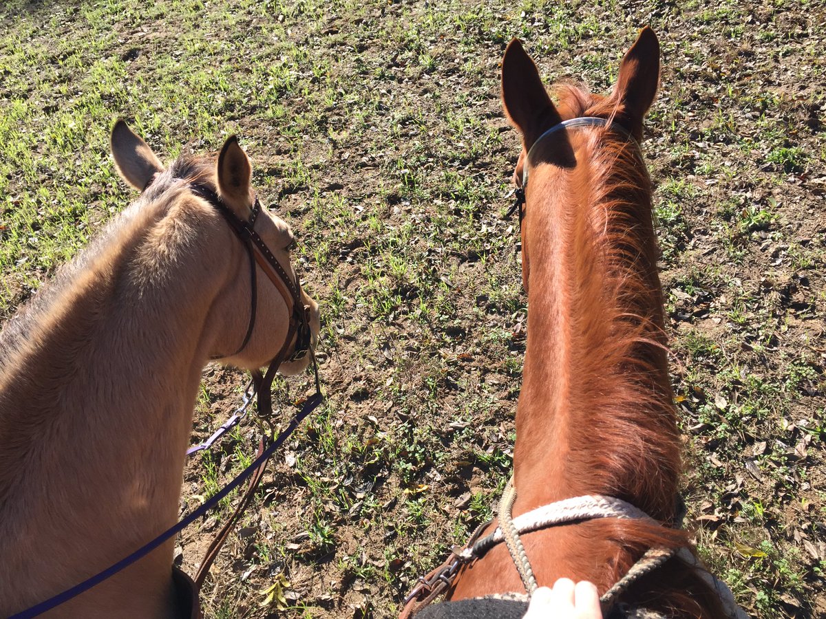 Sydney Seidel (@sydney_seidel) | Twitter