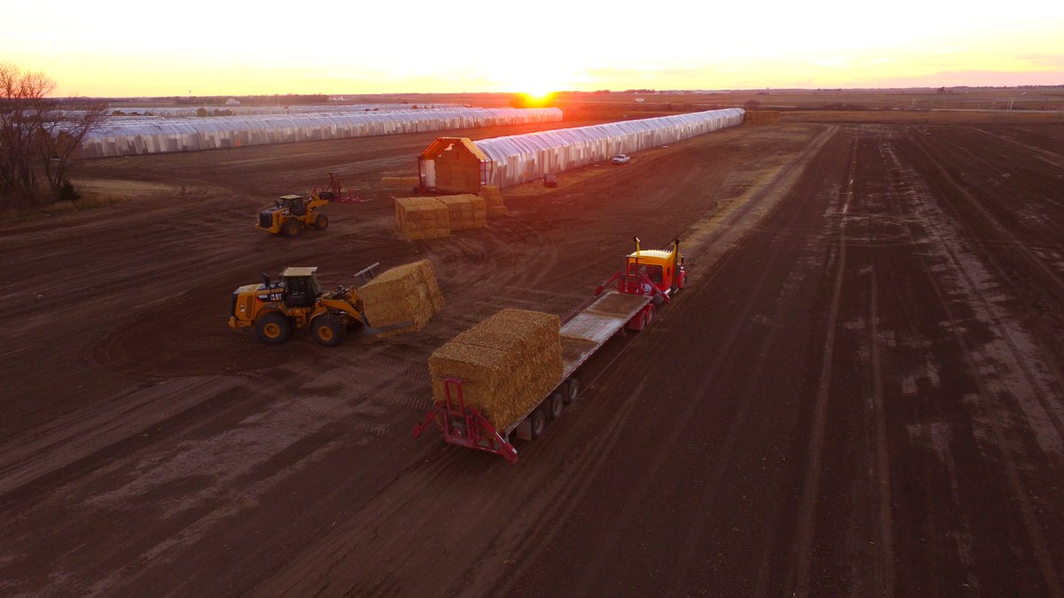 Stinger Inc (@Stingerbuzz) | Twitter