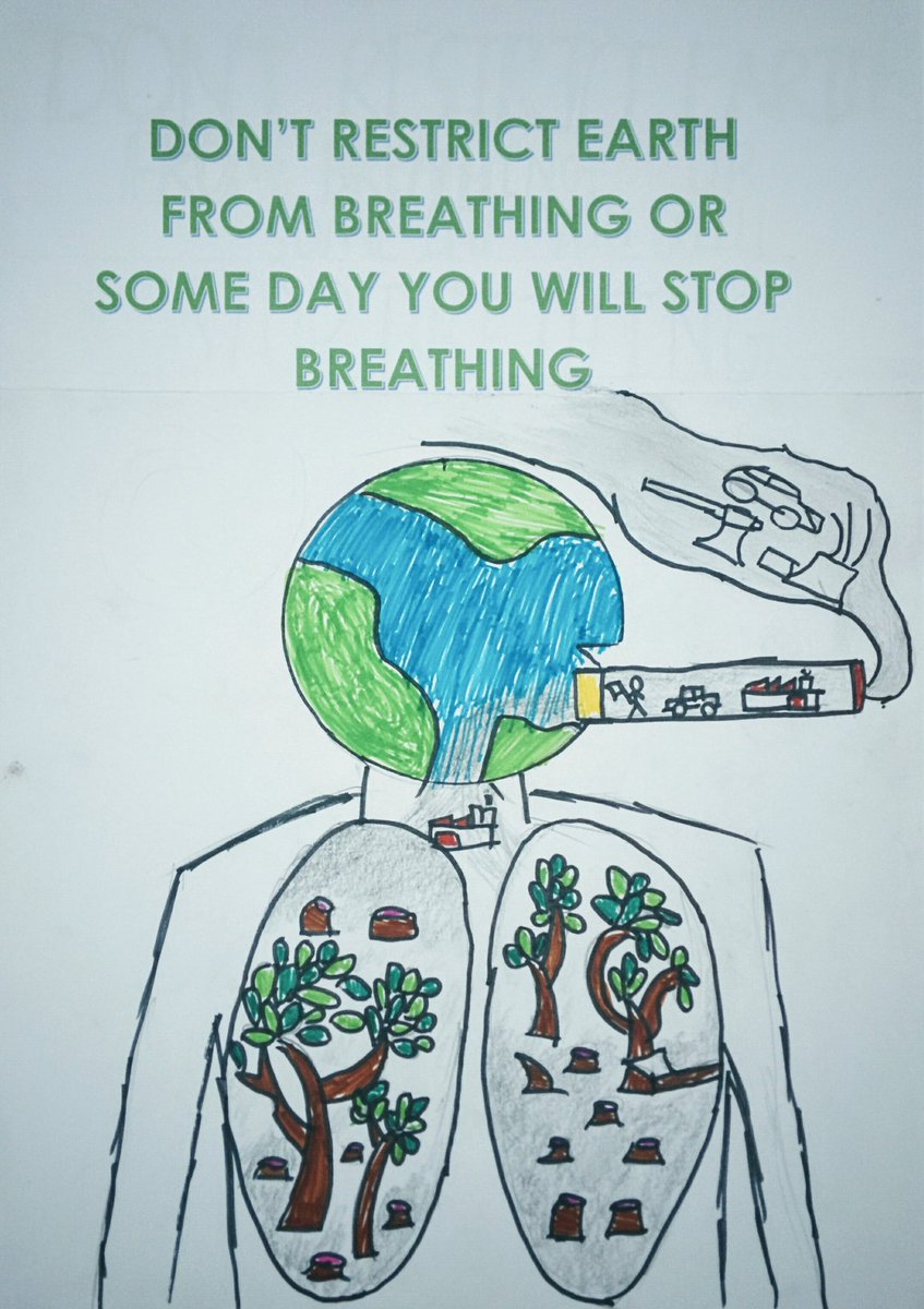 Afforestation And Deforestation Drawings