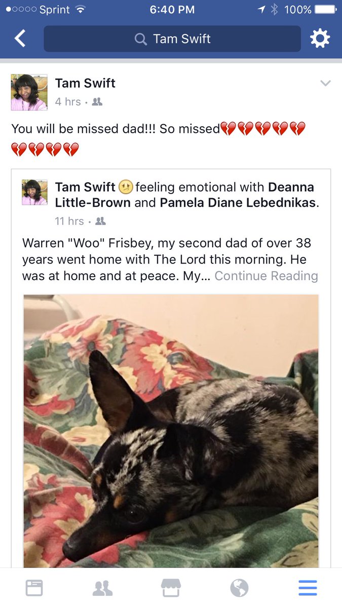 Tambria (@Tambriaeve58) | Twitter