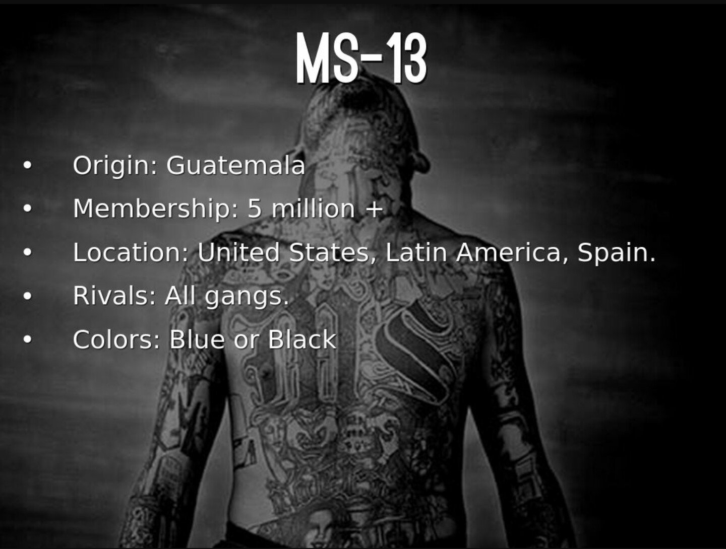 Ms 13 Colors